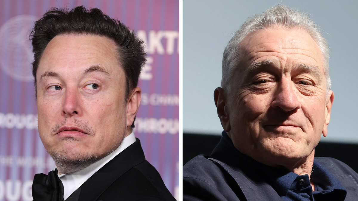 Elon Musk Destroys Robert De Niro After Actor Makes Absurd Comparison ...