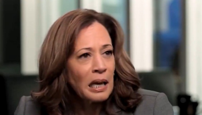 Harris Gives Confusing Response to ‘Day One In Office’ Question From ...