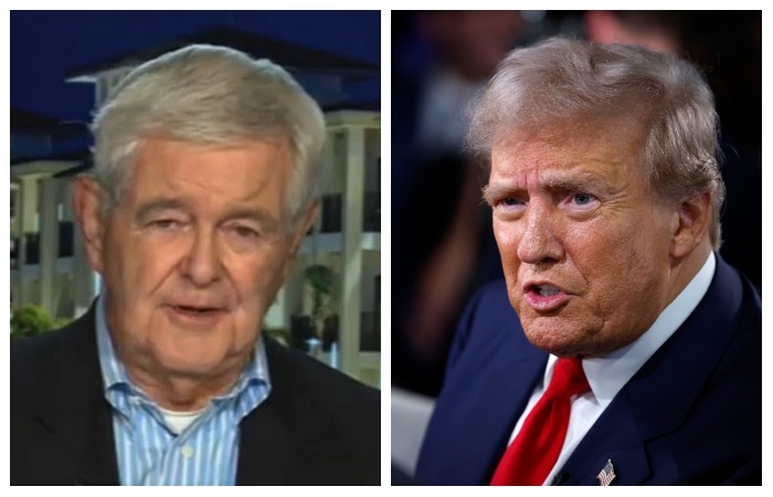 Newt Gingrich Relays His Biggest Fear If Trump Wins - USA Journal Newt Gingrich Relays His Biggest Fear If Trump Wins - USA Journal
